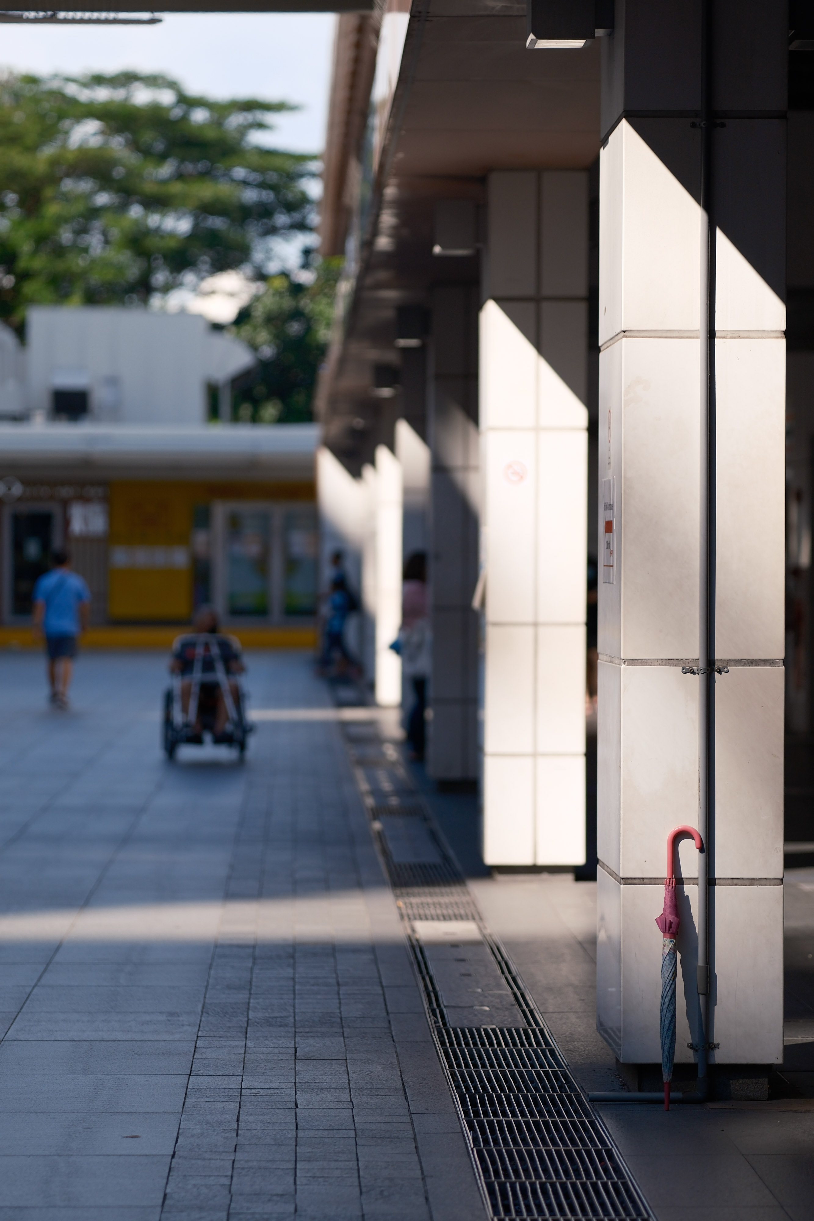 Meike 85mm f1.8 Pro – What Makes A Pro? – Alwin Kok