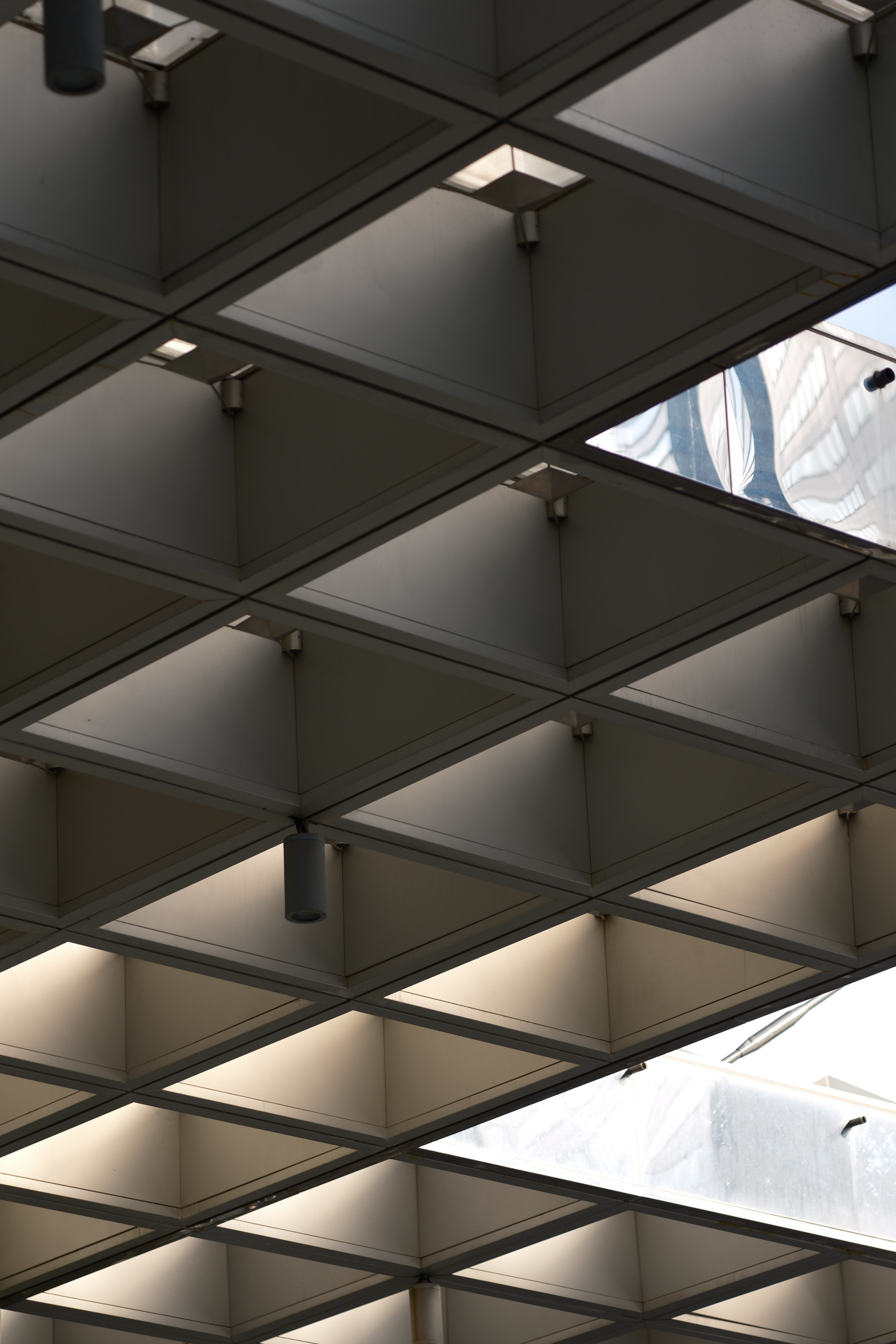 Meike 85mm f1.8 Pro – What Makes A Pro? – Alwin Kok